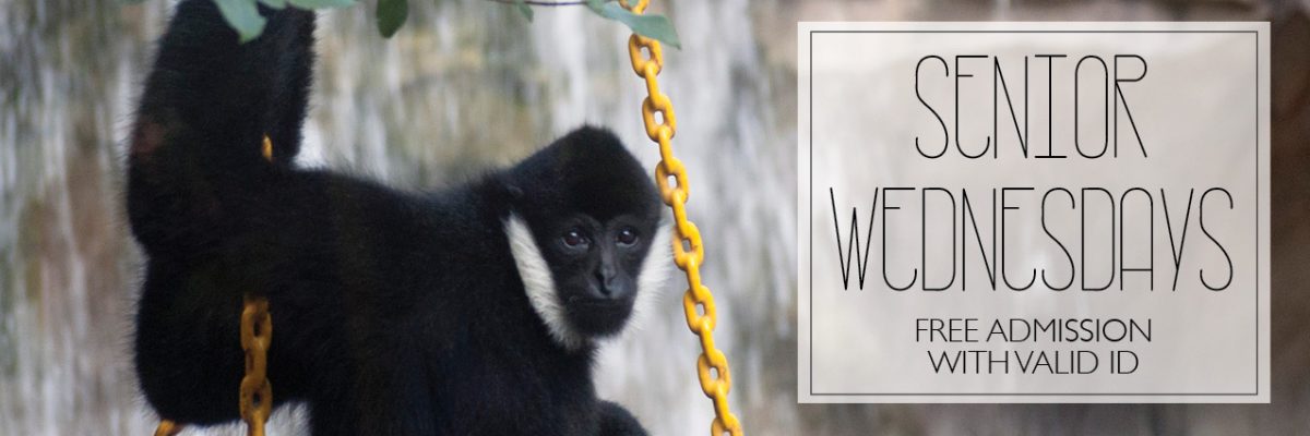 Virginia Zoo: Free Admission to Seniors