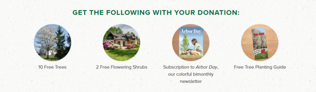 Arbor Day Foundation : Get 10 Tree Seedlings & 2 Flowering Shrubs with ...