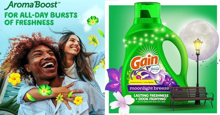 Amazon Lowest Price: Gain Moonlight Breeze Liquid Laundry Detergent