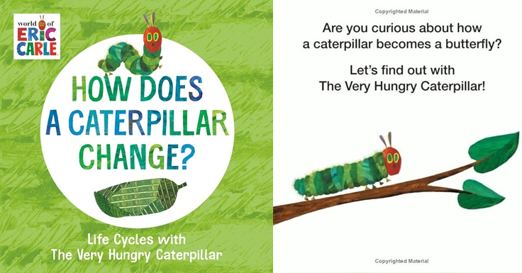 Amazon Lowest Price: How Does a Caterpillar Change? Kids Book